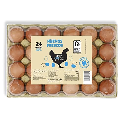 Huevos en caja dia ️ | Alternativas en Oferta 2025